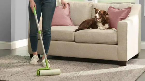 How to Eliminate Dust at Home: Your Comprehensive Guide to a Dust-Free ...