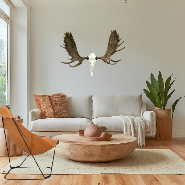 Decorating With Elegant Neutral Wall Colors - the decorholic