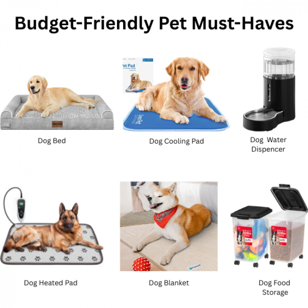 Pet Friendly Home Decor: 15 Expert Tips for Stylish & Functional Pet ...